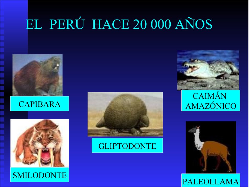 La Prehistoria y el origen del hombre: LOS PRIMEROS PERUANOS - LITICO