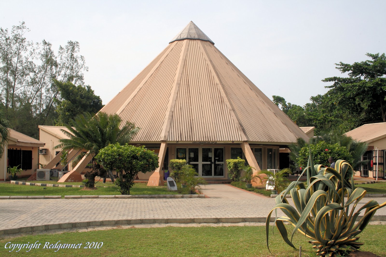 Redgannet: Lekki Conservation Centre, Lagos, Nigeria