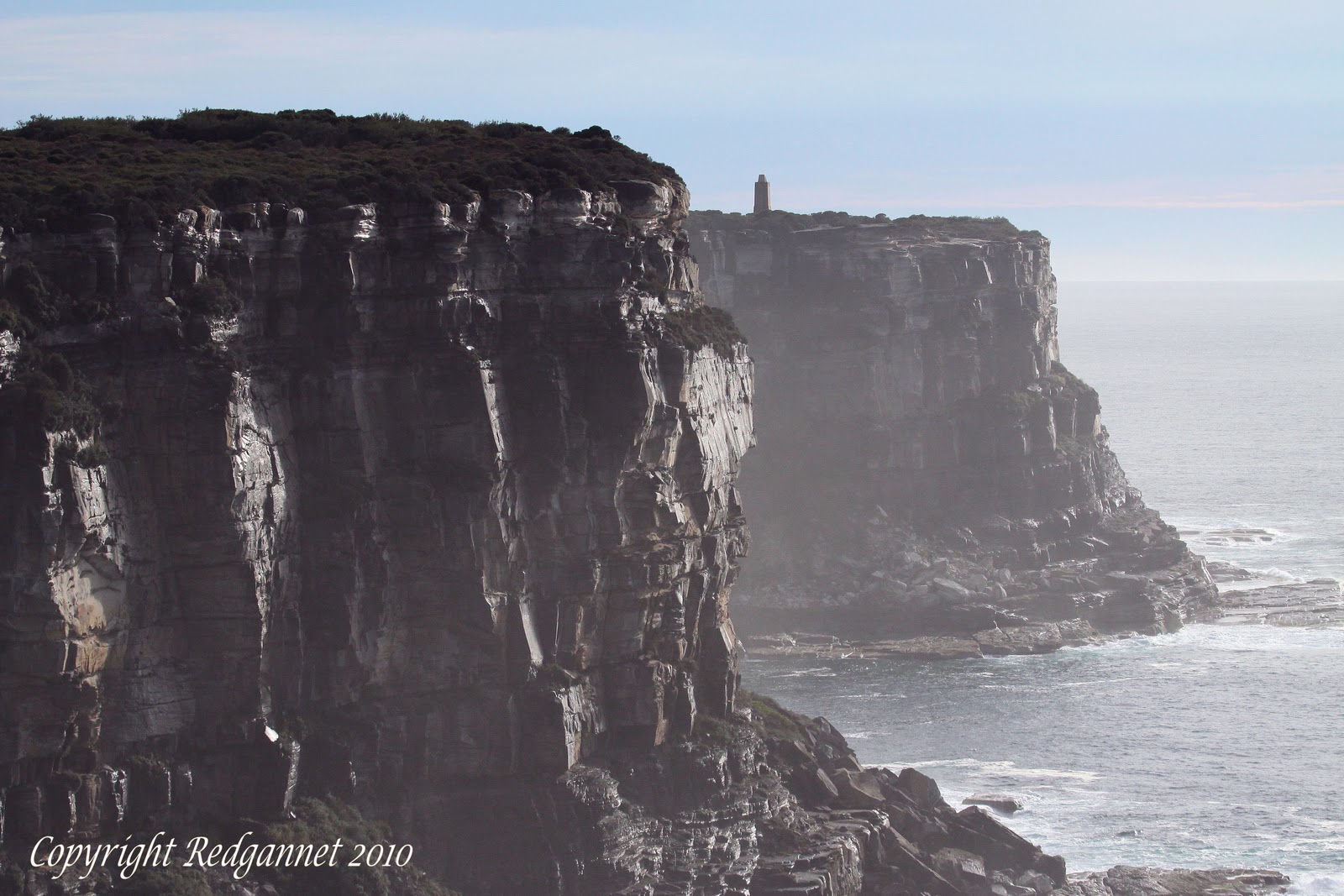 Redgannet: North Head, Sydney, Australia