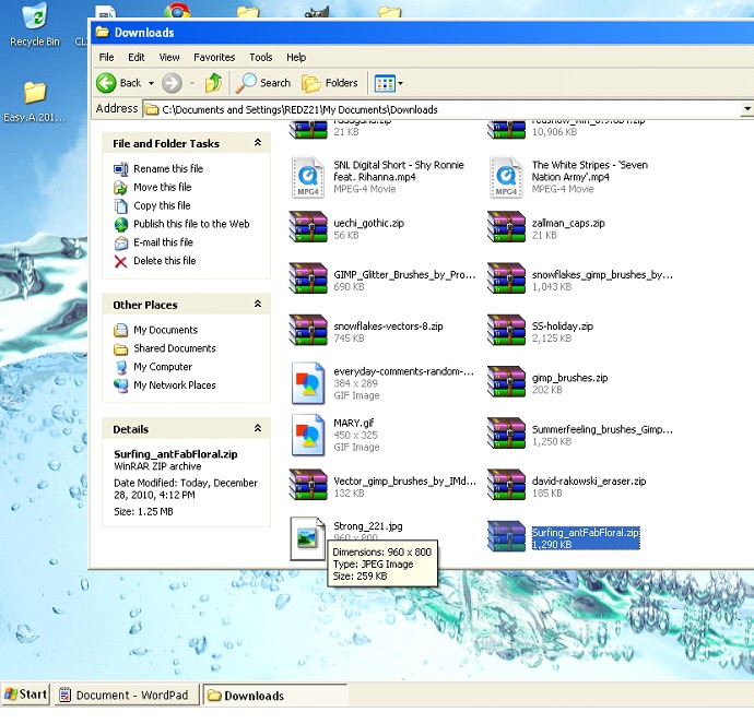 COLOR TO ALPHA: How to add gbr files to gimp in windows...