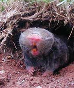 Loquacious Ladies: Great Value