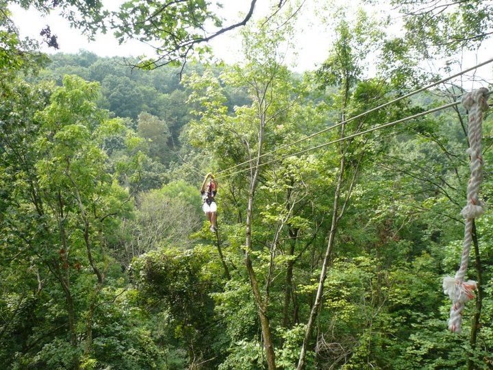 My Mohican Adventures: Tree Frog Canopy Tour