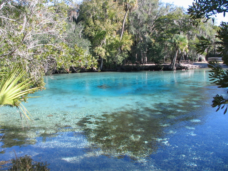 Living the Dream...: Sunday, December 5, 2010 (Salt Springs, FL)