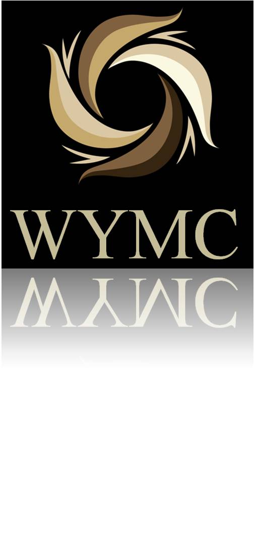 iDebate: Registration deadline approaching for World Youth Model ...