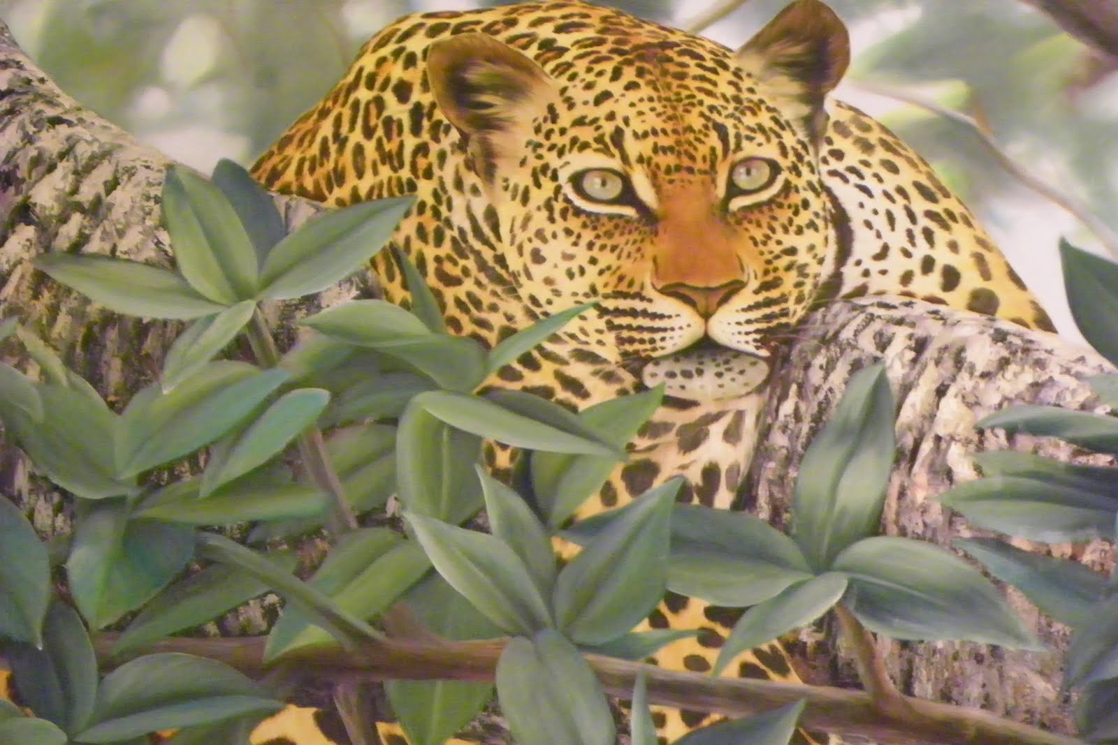 RAFA GUESTS IN RIO: GOING NORTH - BRAZILIAN PAINTINGS