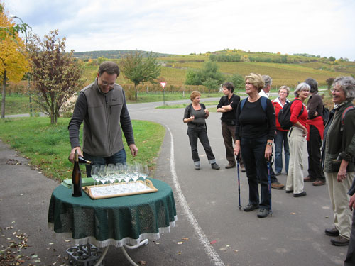 Pfalz – Weingut Pfeffingen