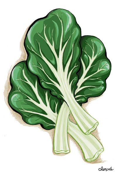 AMAPBDM: RECETTE : Soupe d'Ulrike, aux blettes, aux tomates et au Tofu