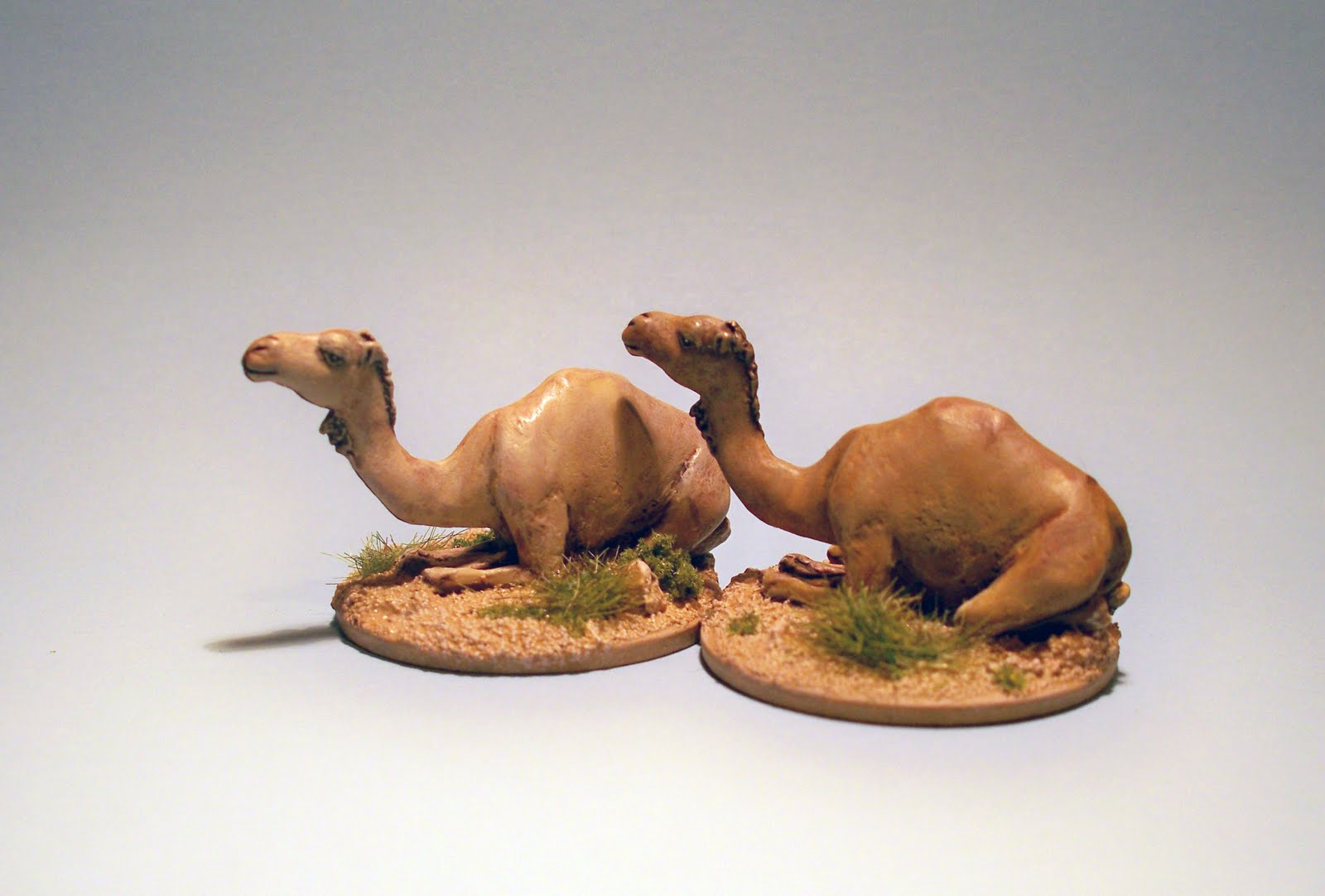 Adventures In Lead: Castaway Arts Camels