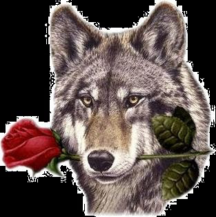 Fotos de lobos con alas - Imagui