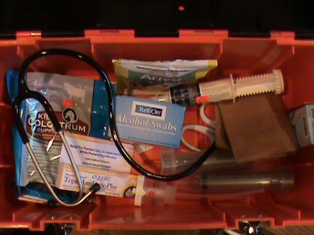 Homestead ...... From Scratch: Medicine Woman