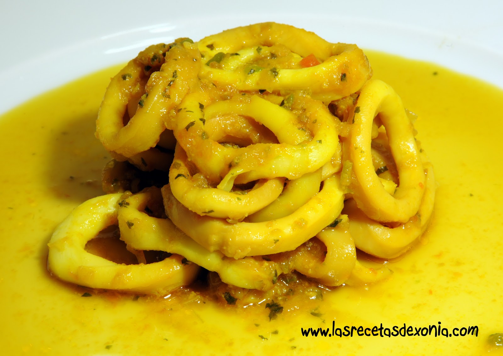 CALAMARES EN SALSA | Las Recetas de Xonia ... para Dukan