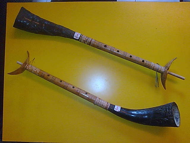 Alat Muzik / Music Instrument