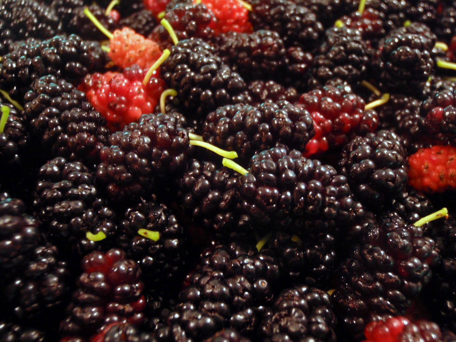 Earthen Pleasures Pastime: Let me mull (-berry) this over a bit...