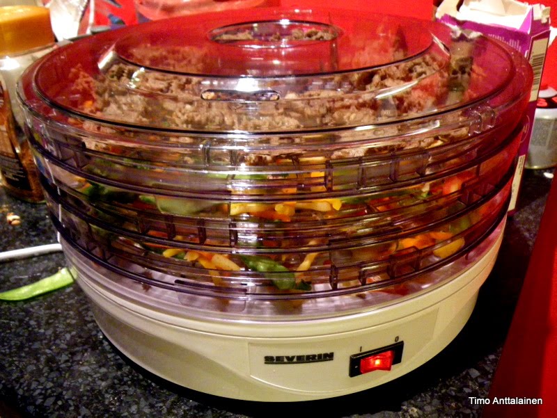 (Grammari.com) timolle.blogspot.fi/: Severin Kuivuri.