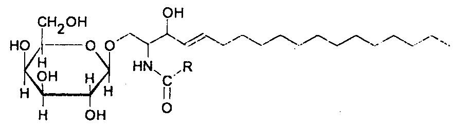 Tecnología Médica Mención Morfofisiopatología y Citodiagnóstico ...