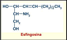 Tecnología Médica: Composición y estructura de lípidos