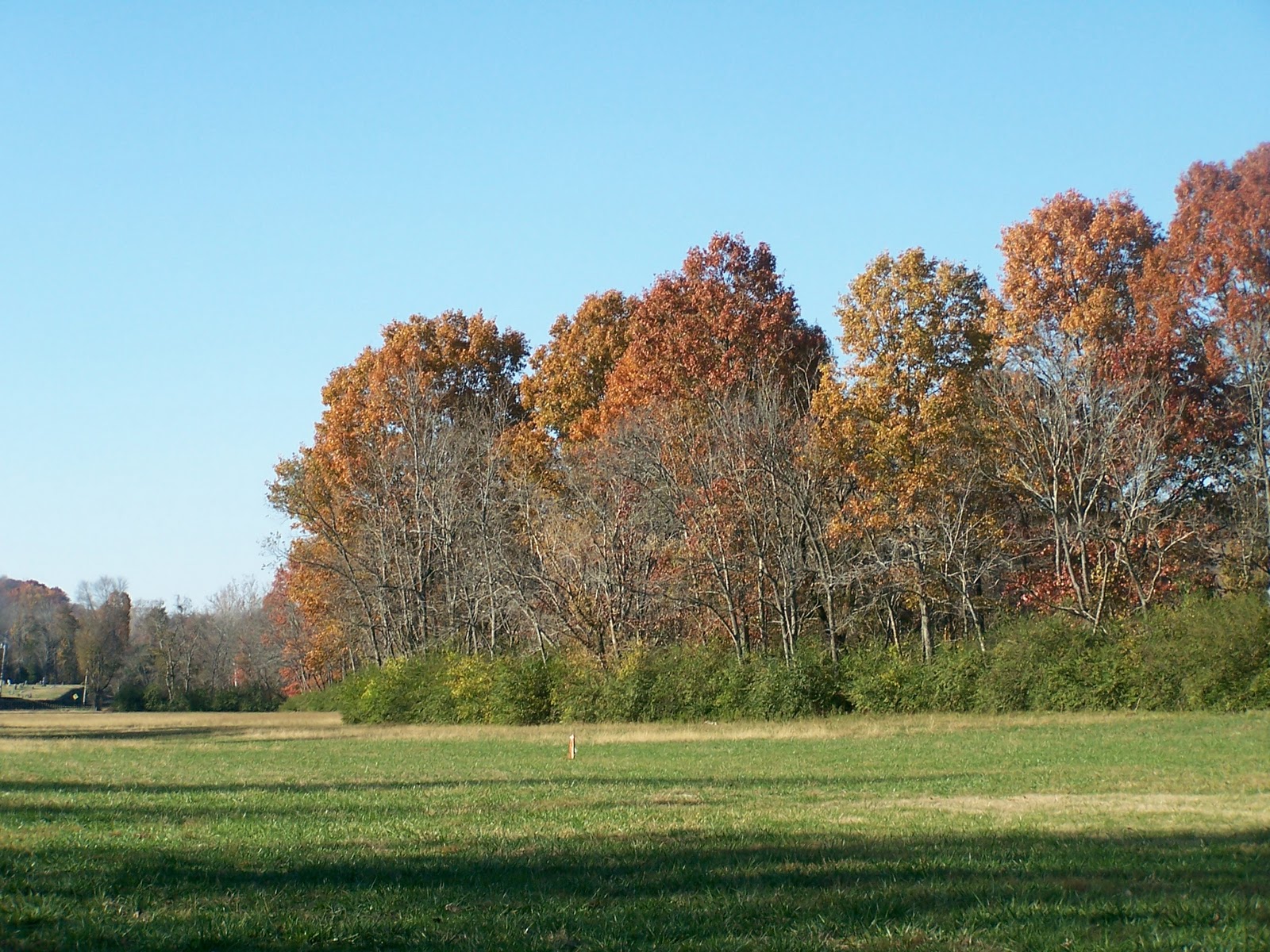 Lisa's Painting and Drawing Journal: Kevin Menck's November workshop