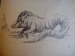 Isla Grande de Chiloé, Sur de Chile - Foros Perú