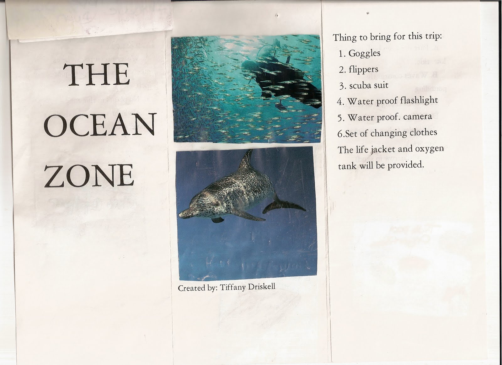 Donna's Science Education Blog: Biome Brochures or Stories