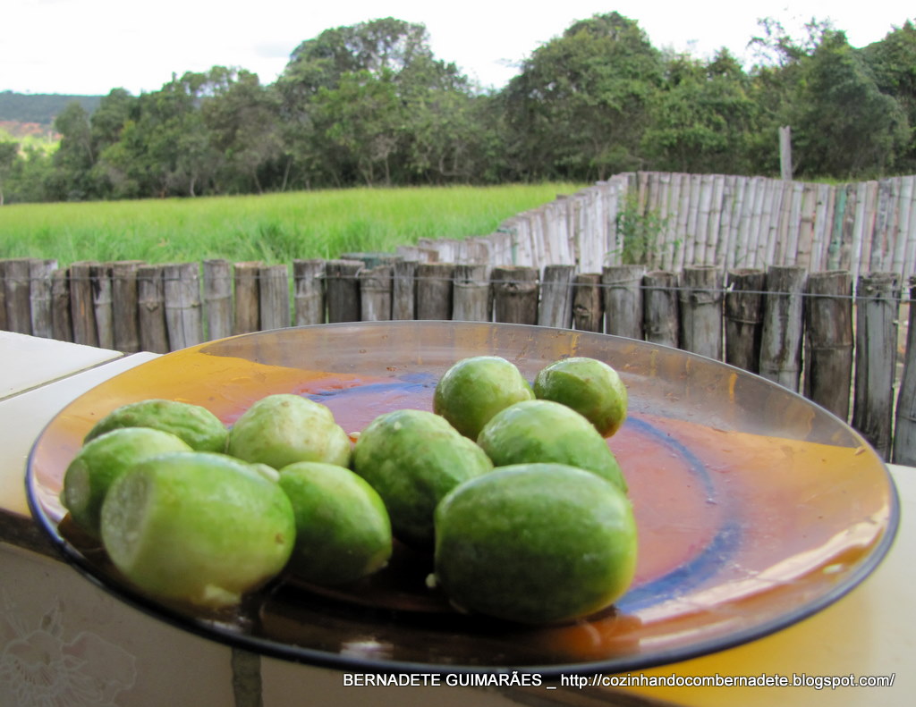 Cozinhando com Bernadete: MAXIXE