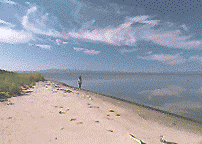 Beaches: Devonshire Beach Alberta, Canada