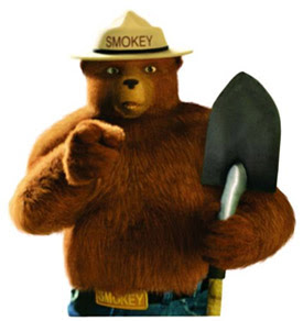 The TV Ad Guru: Smokey the Bear: Get Your Smokey On
