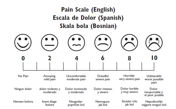 The Bay Lives: a visit to st. francis