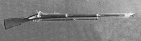 THE ITALIAN WARS OF INDEPENDENCE: GARIBALDI THE HEART OF ITALY .( Viva ...