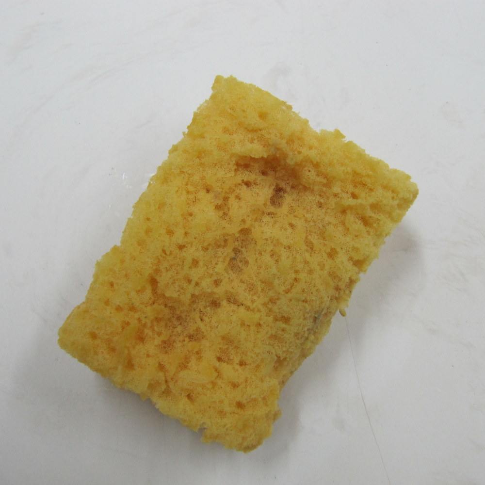 Creative with clay: Pottery by Charan Sachar: Sponges Sponges Sponges