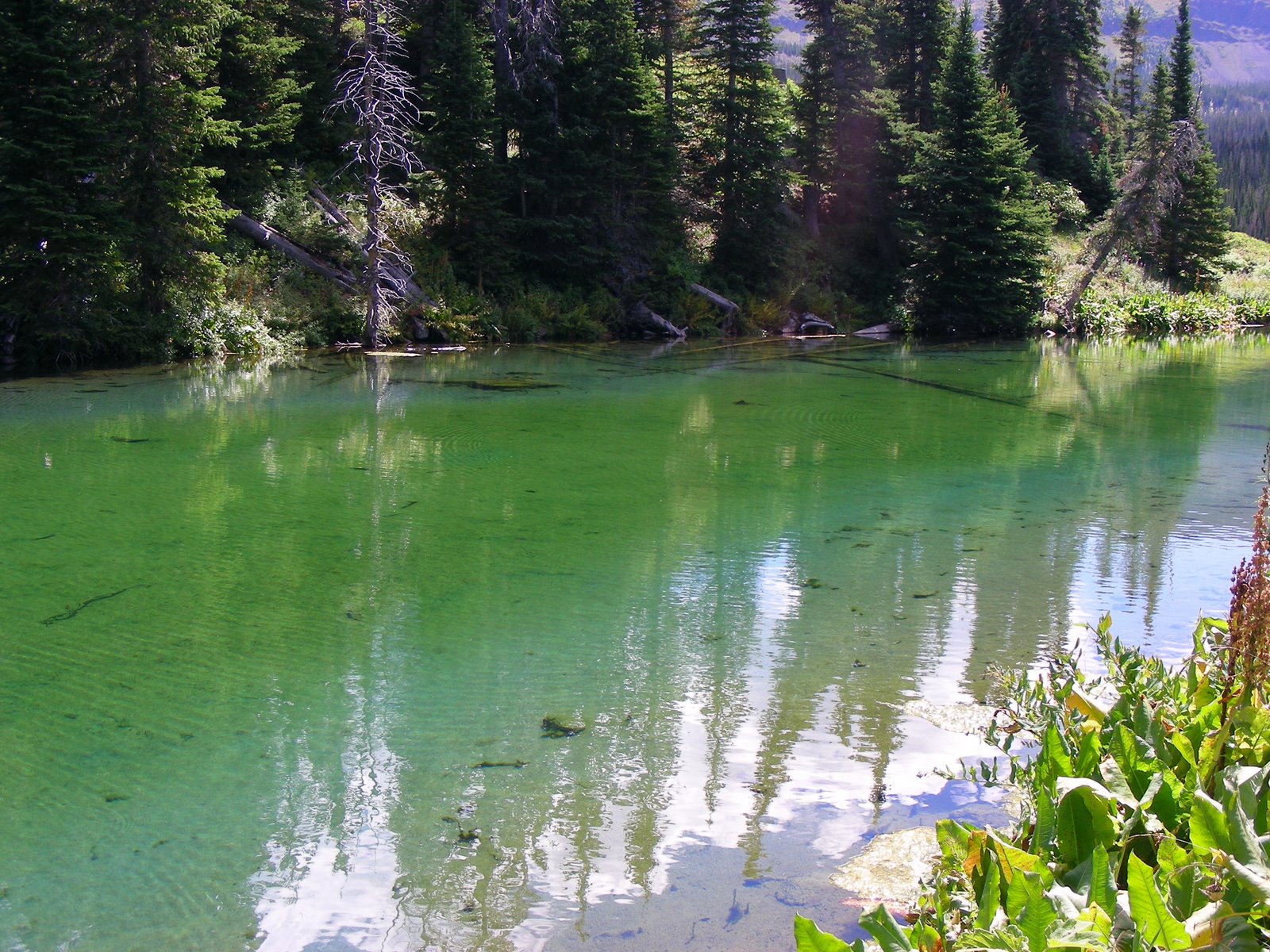 nomads2: Cold Springs campground...