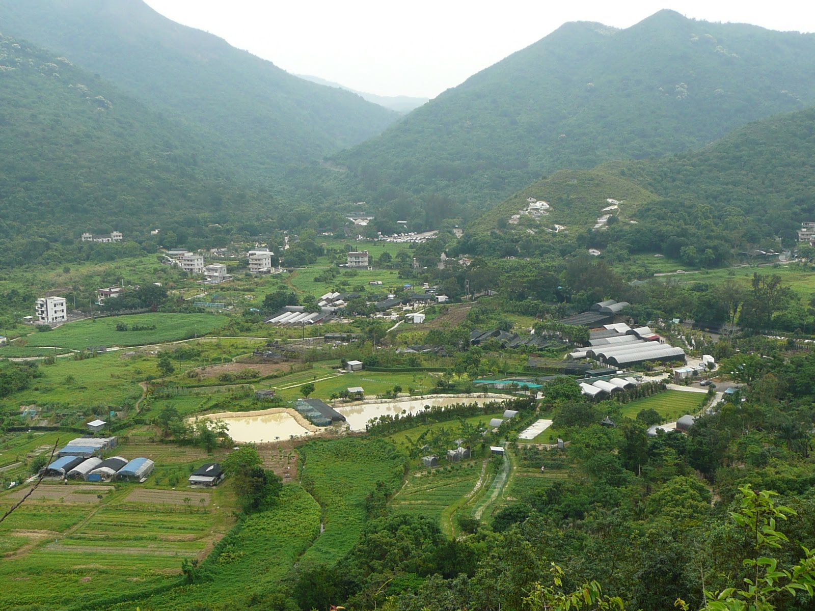WEBS OF SIGNIFICANCE: Out and about in Hong Kong's rural north (Photo ...