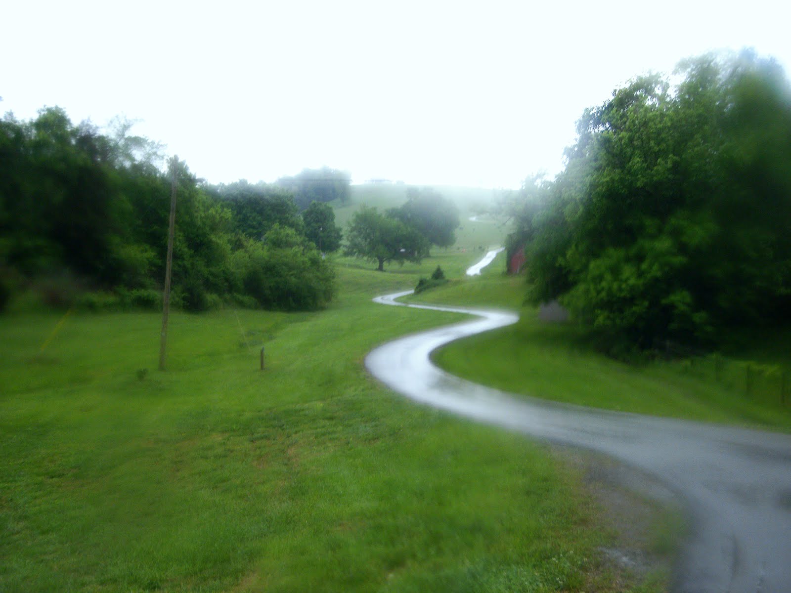 Race Report - 2010 Strolling Jim 40 Mile Run - Ultra Kraut Running