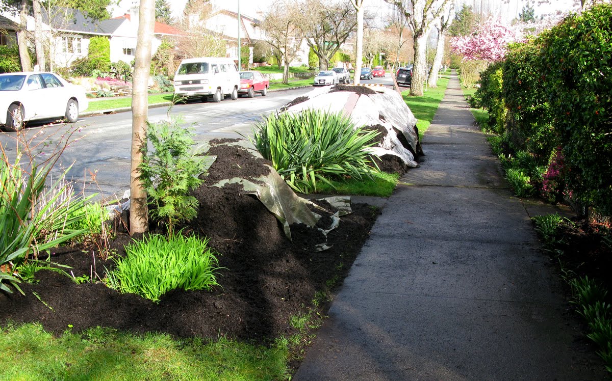 Growing Edibles in Vancouver, British Columbia: Vegetables in the Front ...