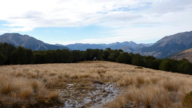 Bealey Spur hut track - Arthur´s Pass National Park