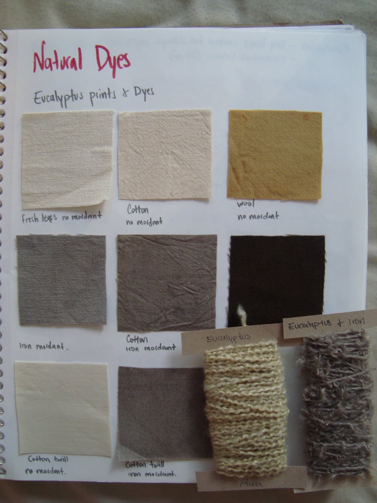 Wander the Woods: NATURAL DYES....my new obsession