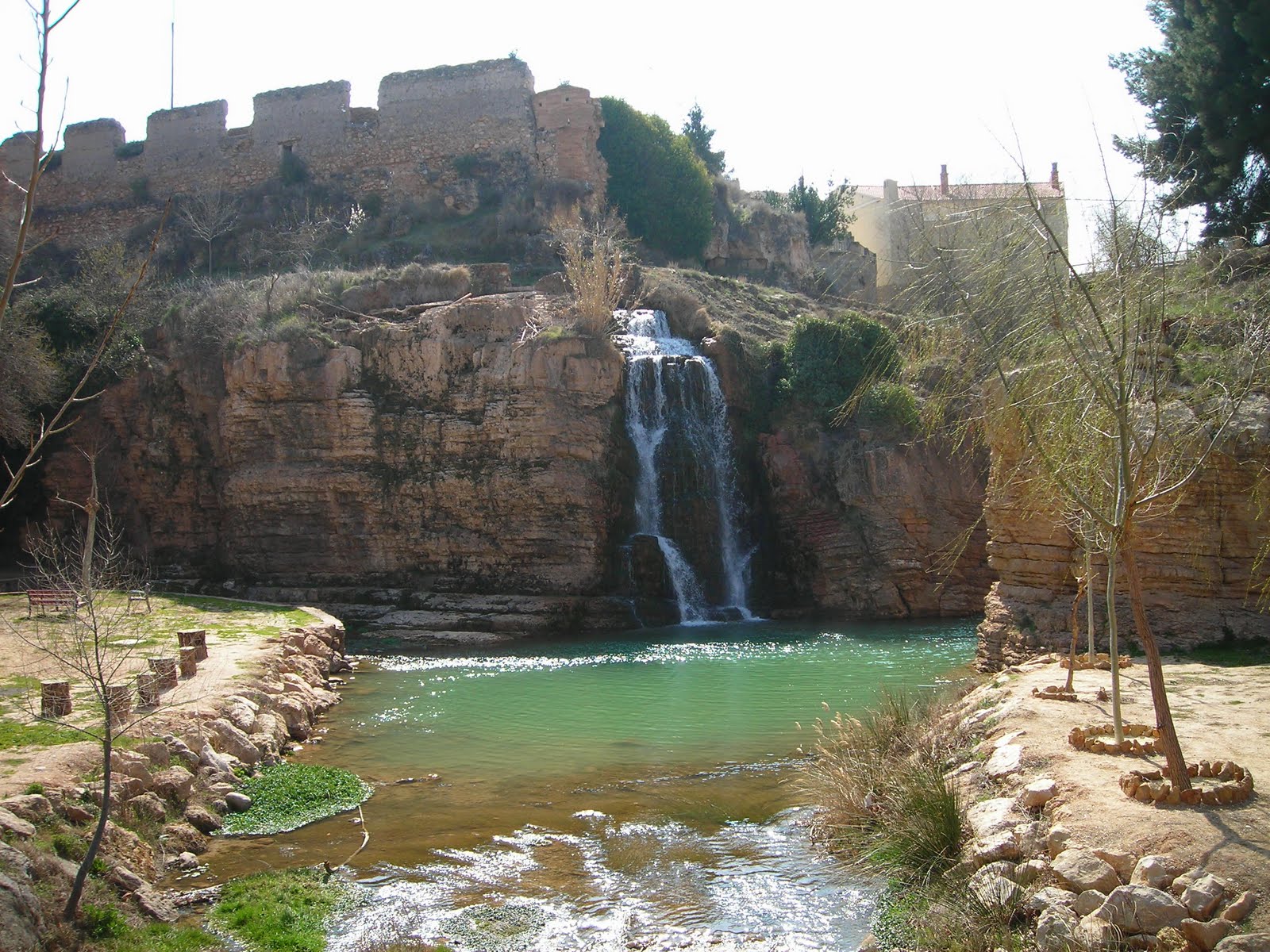 NATURALEZA desde mi colegio .................(A.M.P.A. Camon Aznar ): MUEL