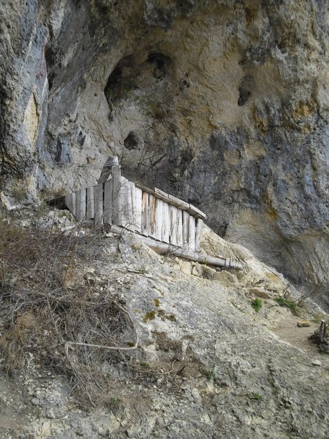 Die Schwäbische Alb und ihre Natur: Zugang zur Kesselwand (linker Teil ...