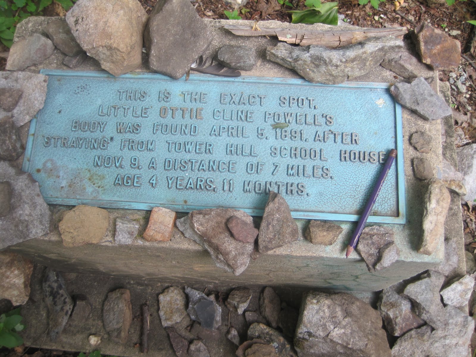 The Grand Adventures of Nano: Hiking and Tigers and Drive-Ins, Oh My!