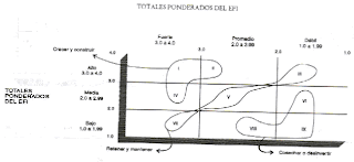 Graciela: Matriz Interna- Externa (IE)