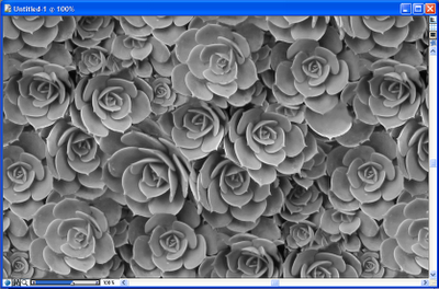 Desaturate a color image with Corel Painter X