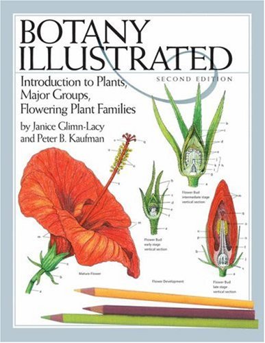 journal: an illustrated plant book
