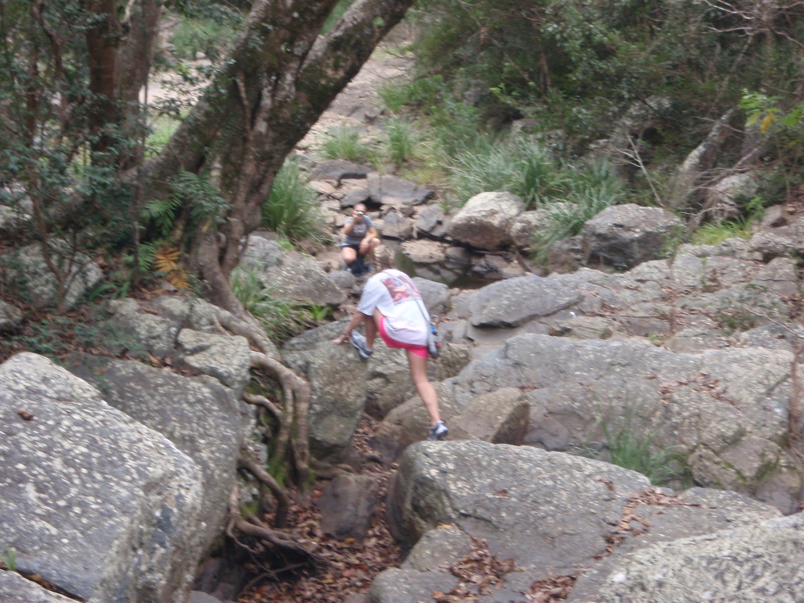 Uniquely Australian: Brisbane ("Brissy")