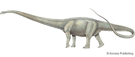 nost: Mamenchisaurus hochuanensis — a long-necked sauropod