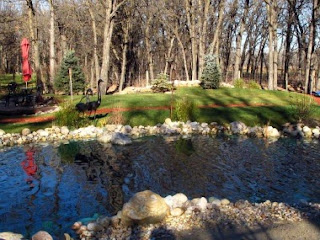 The Intrepid Canadian Gardener: Backyard Berming