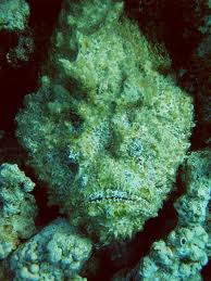 3r Busquets: castellà