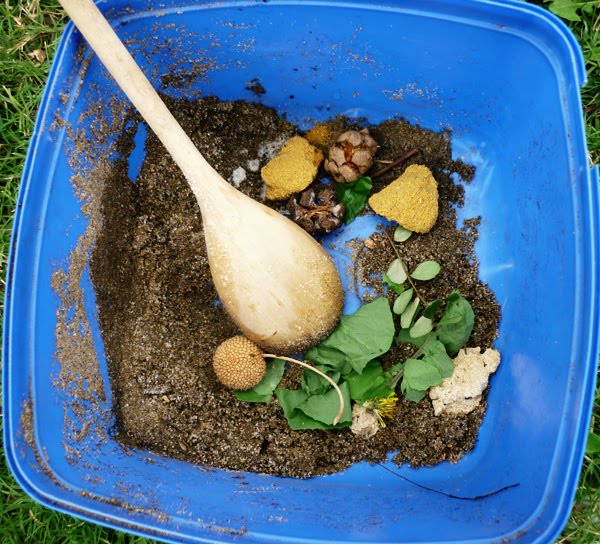 Nature Kids: Treasure Hunt Soup