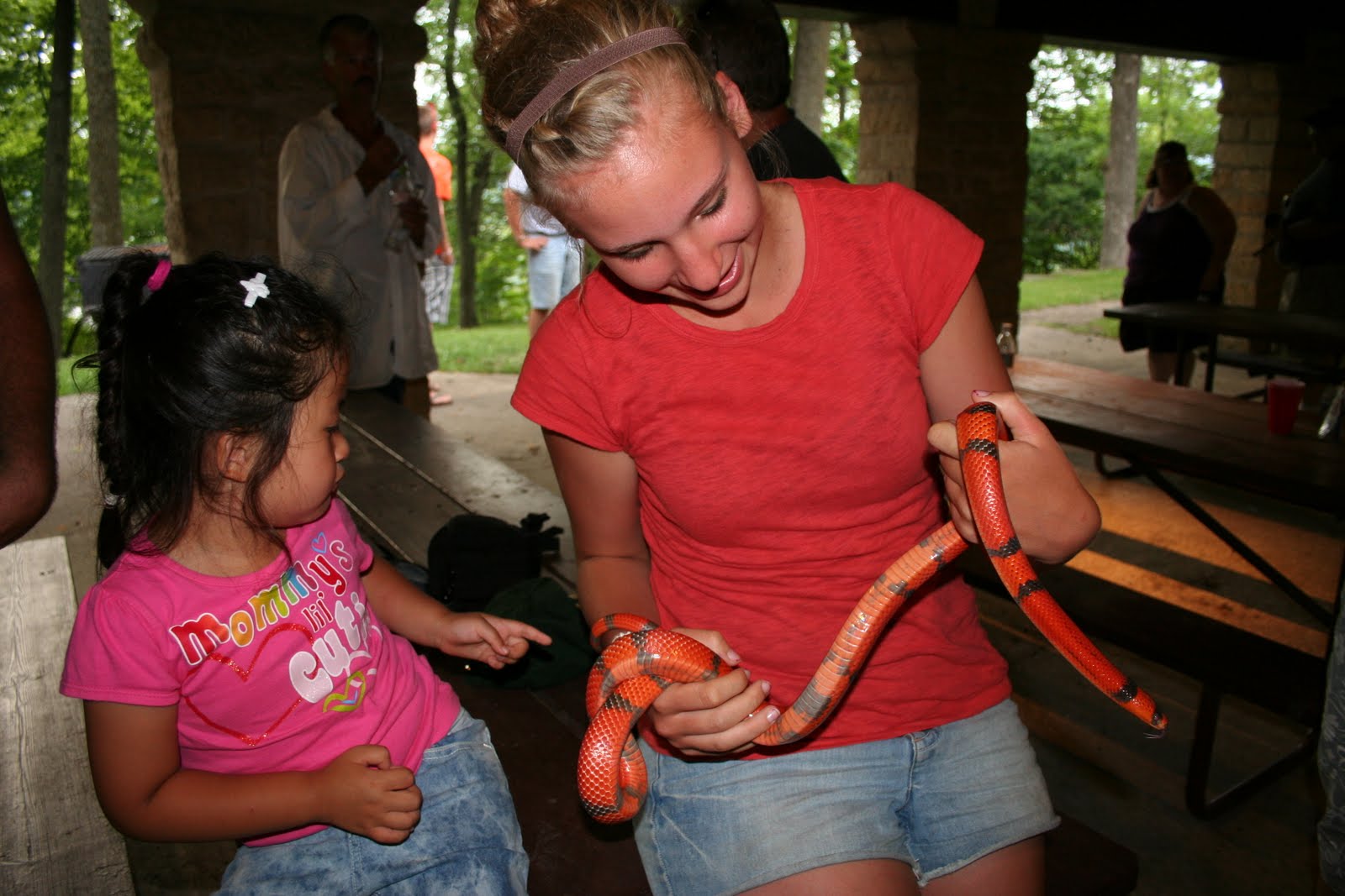 A Busy Life With Teenagers and a 5 Year Old!: Camping at Wyalusing ...