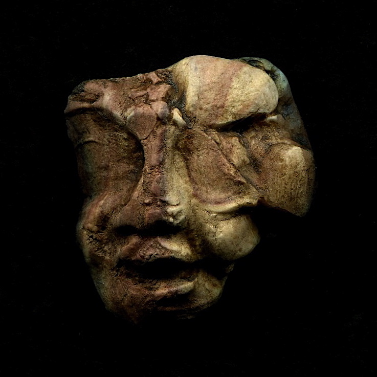 Hidden Missives: Denisovan Reconstruction C