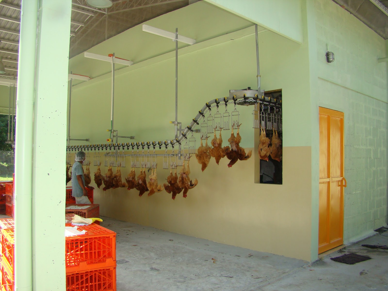 PAMORA FARM FREE-RANGE CHICKEN: IMPORTANCE OF QUALITY CONTROL ON MEAT ...