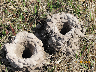 America by RV: Spare Tire, Lauberge Du Loc, Ready to move on